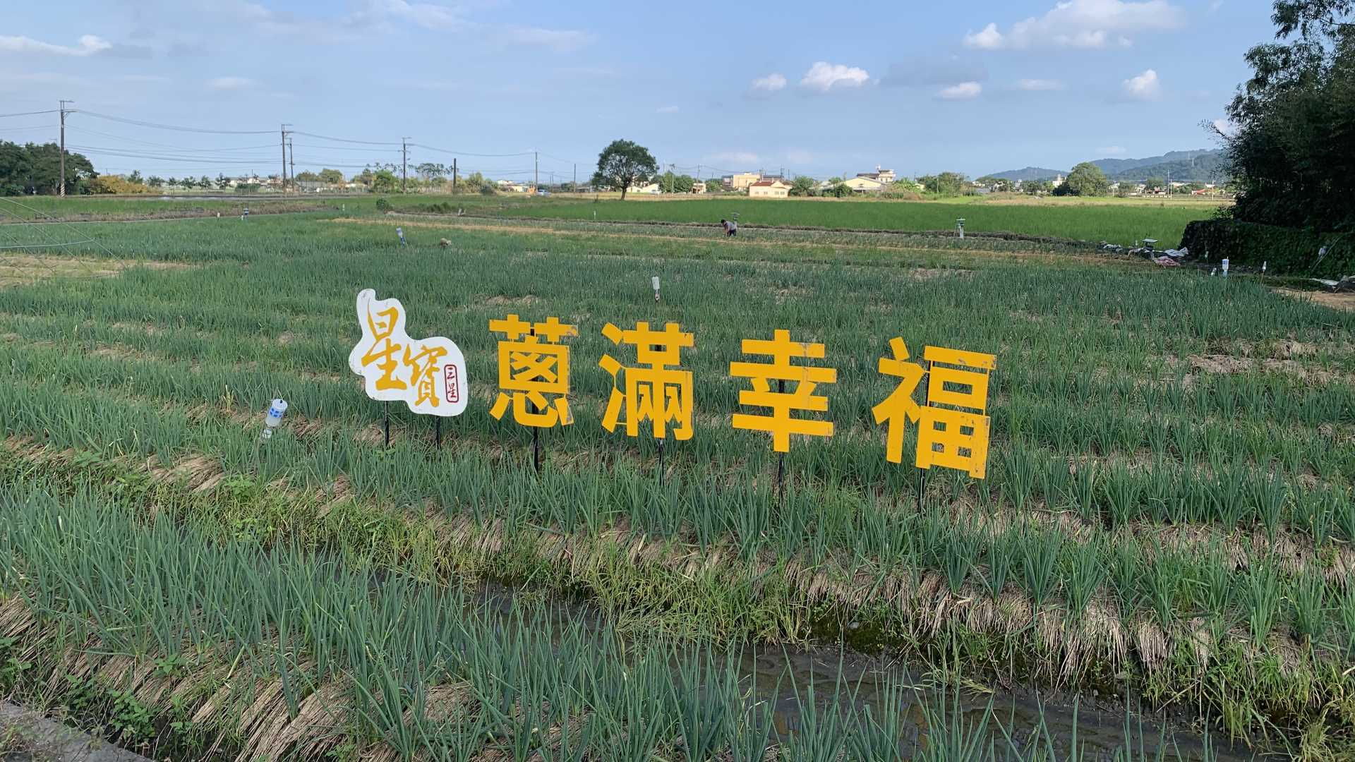 Experiences | Tour East