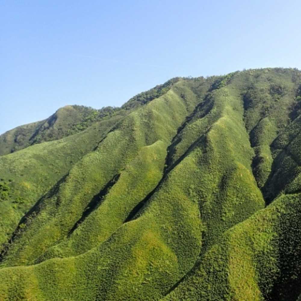 Experiences | Tour East