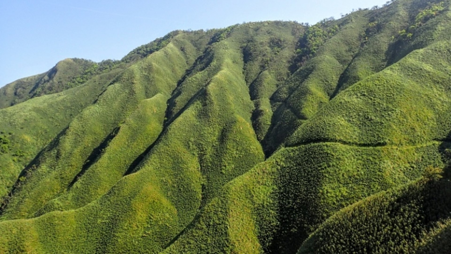 Experiences | Tour East